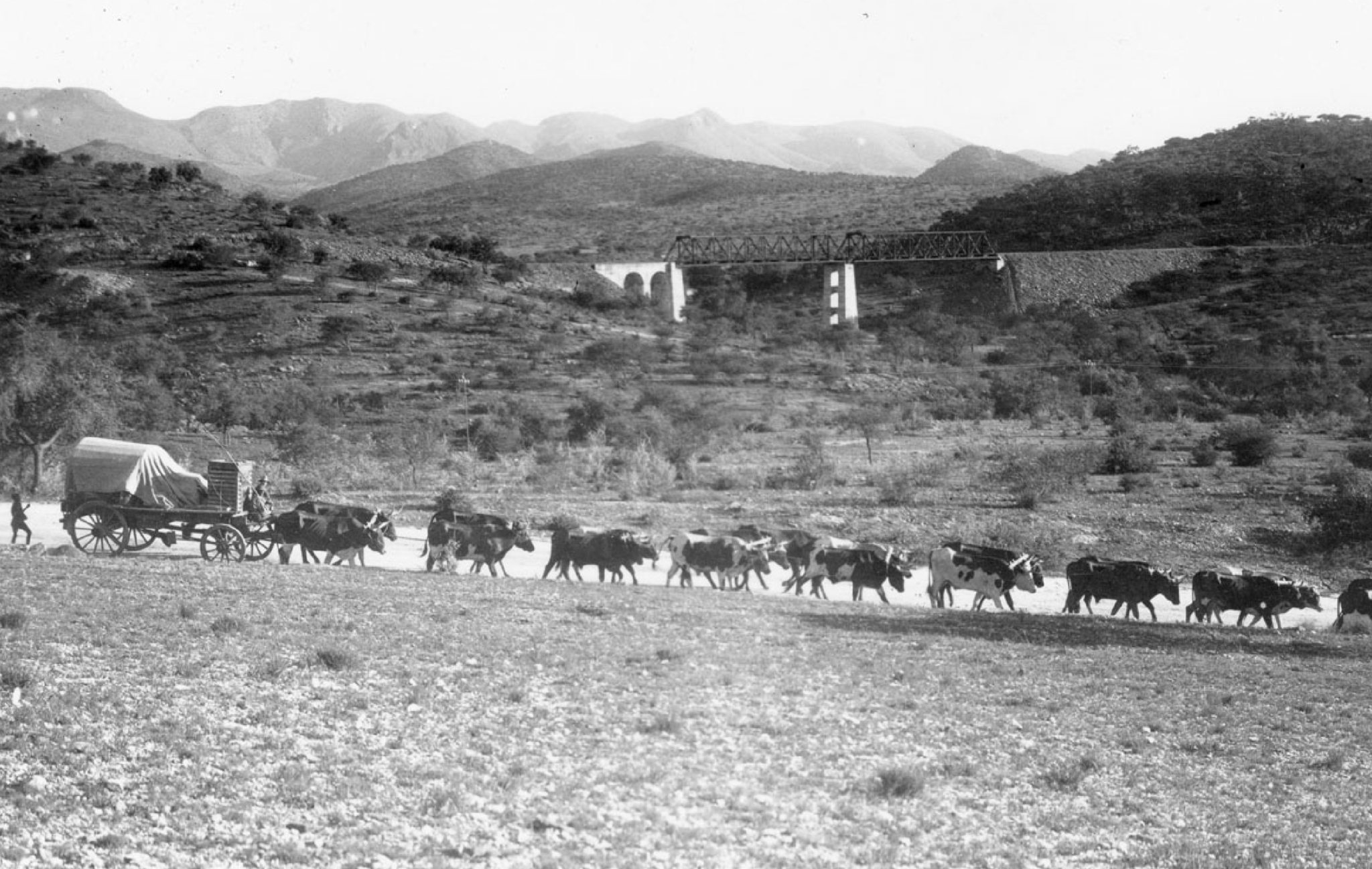 Bridging it – The 100-year-old Avis bridge