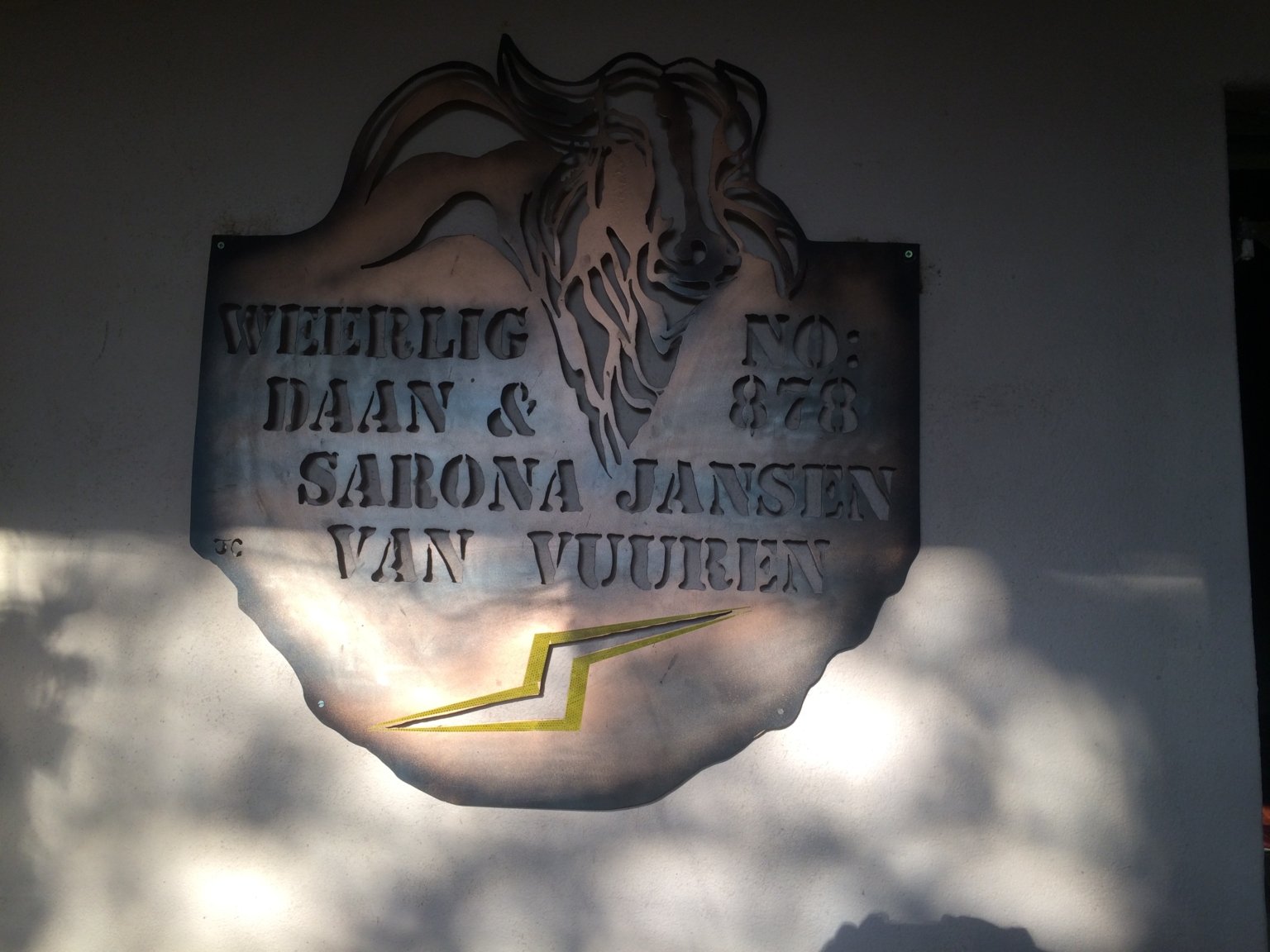 Damara sheep – The true African sheep